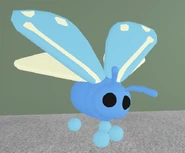 Glacier Moth | Adopt Me! Wiki | Fandom