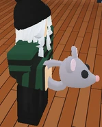 Mouse Leash | Adopt Me! Wiki | Fandom