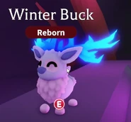 Winter Buck | Adopt Me! Wiki | Fandom