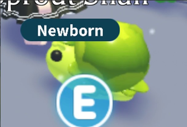 Sprout Snail | Adopt Me! Wiki | Fandom