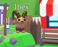 Ibex | Adopt Me! Wiki | Fandom