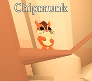 Chipmunk | Adopt Me! Wiki | Fandom