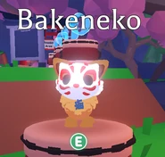 Bakeneko | Adopt Me! Wiki | Fandom