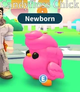 Candyfloss Chick | Adopt Me! Wiki | Fandom