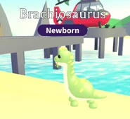Brachiosaurus | Adopt Me! Wiki | Fandom
