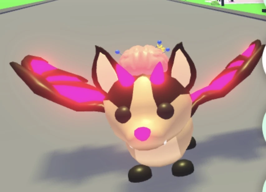 Exposed Brain | Adopt Me! Wiki | Fandom