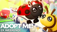 Bee | Adopt Me! Wiki | Fandom