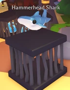 Hammerhead Shark | Adopt Me! Wiki | Fandom