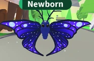 Moonbeam Butterfly | Adopt Me! Wiki | Fandom