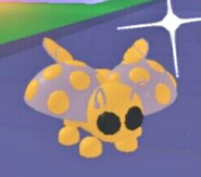 Golden Ladybug | Adopt Me! Wiki | Fandom