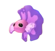 Pink Betta Fish | Adopt Me! Wiki | Fandom
