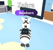 Bat Backpack | Adopt Me! Wiki | Fandom