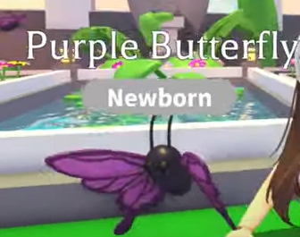 Purple Butterfly | Adopt Me! Wiki | Fandom