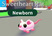 Sweetheart Rat | Adopt Me! Wiki | Fandom
