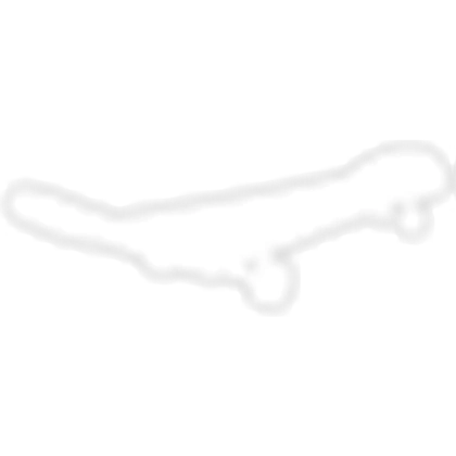 White Skateboard | Adopt Me! Wiki | Fandom