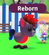 Punk Pony | Adopt Me! Wiki | Fandom