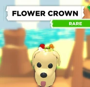 Flower Crown | Adopt Me! Wiki | Fandom