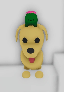 Cactus Friend Hat | Adopt Me! Wiki | Fandom