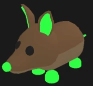 Bandicoot | Adopt Me! Wiki | Fandom