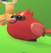 Red Cardinal | Adopt Me! Wiki | Fandom