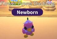 Flower Power Duckling | Adopt Me! Wiki | Fandom
