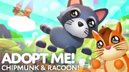 Raccoon | Adopt Me! Wiki | Fandom