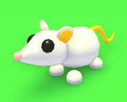 Golden Rat | Adopt Me! Wiki | Fandom