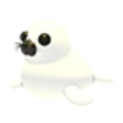 Harp Seal | Adopt Me! Wiki | Fandom