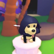 Adventurer's Hood | Adopt Me! Wiki | Fandom