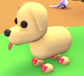 Bow Shoes | Adopt Me! Wiki | Fandom