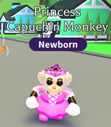 Princess Capuchin Monkey (Pet) | Adopt Me! Wiki | Fandom
