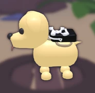 Jolly Roger Backpack | Adopt Me! Wiki | Fandom