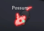 Possum | Adopt Me! Wiki | Fandom