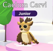 Caelum Cervi | Adopt Me! Wiki | Fandom