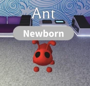Ant | Adopt Me! Wiki | Fandom