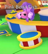 Pink Betta Fish | Adopt Me! Wiki | Fandom