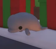 Beluga Whale | Adopt Me! Wiki | Fandom