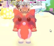 Persian Cat | Adopt Me! Wiki | Fandom