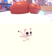 Ermine | Adopt Me! Wiki | Fandom