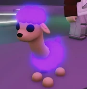 Sheeeeep | Adopt Me! Wiki | Fandom