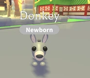 Donkey | Adopt Me! Wiki | Fandom