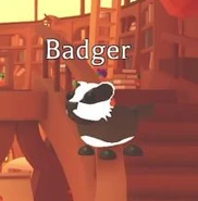 Badger | Adopt Me! Wiki | Fandom
