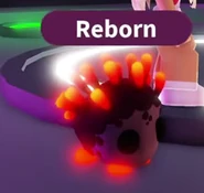 Moonpine | Adopt Me! Wiki | Fandom