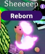 Sheeeeep | Adopt Me! Wiki | Fandom