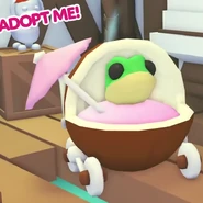Coconut Stroller | Adopt Me! Wiki | Fandom