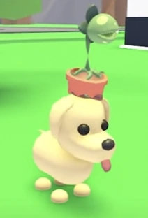 Venus Flytrap Hat | Adopt Me! Wiki | Fandom