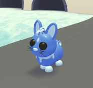 Water Rabbit | Adopt Me! Wiki | Fandom