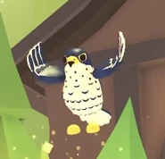 Peregrine Falcon | Adopt Me! Wiki | Fandom