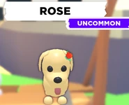 Rose | Adopt Me! Wiki | Fandom