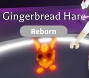 Gingerbread Hare | Adopt Me! Wiki | Fandom